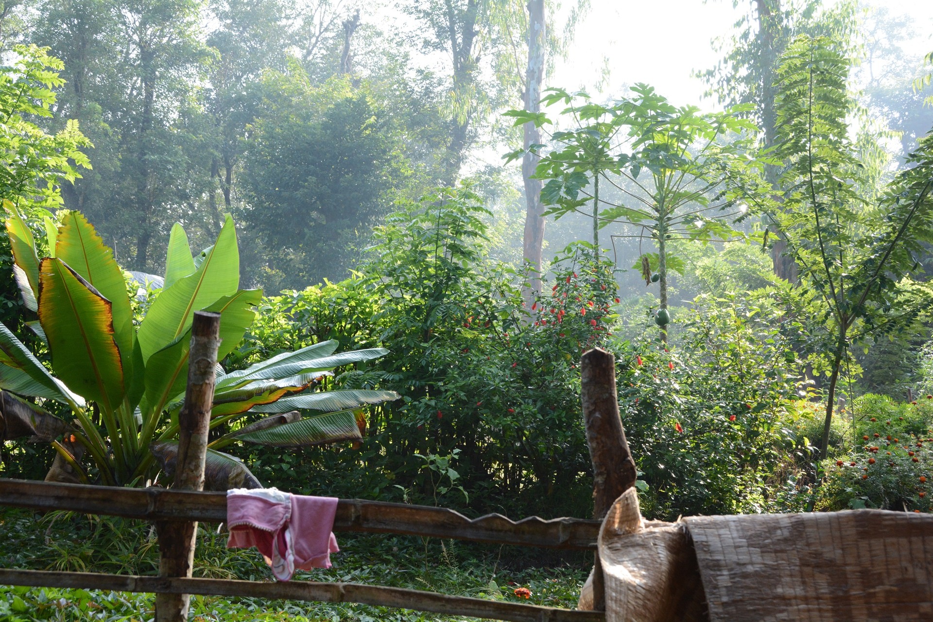 Dialogue on land rights and biocultural heritages of indigenous people ...